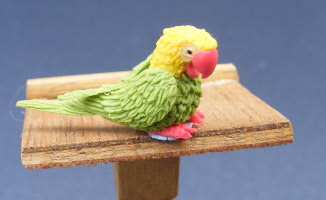 Dolls House Miniature Baby Parrots